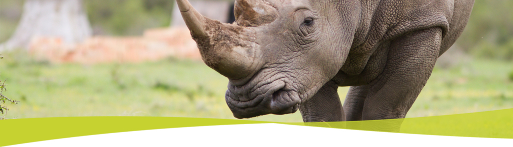 WCSJ 2025 – World Conference of Science Journalists 2025