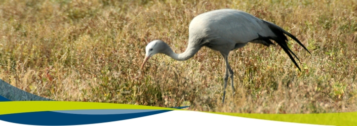 WCSJ 2025 – World Conference of Science Journalists 2025